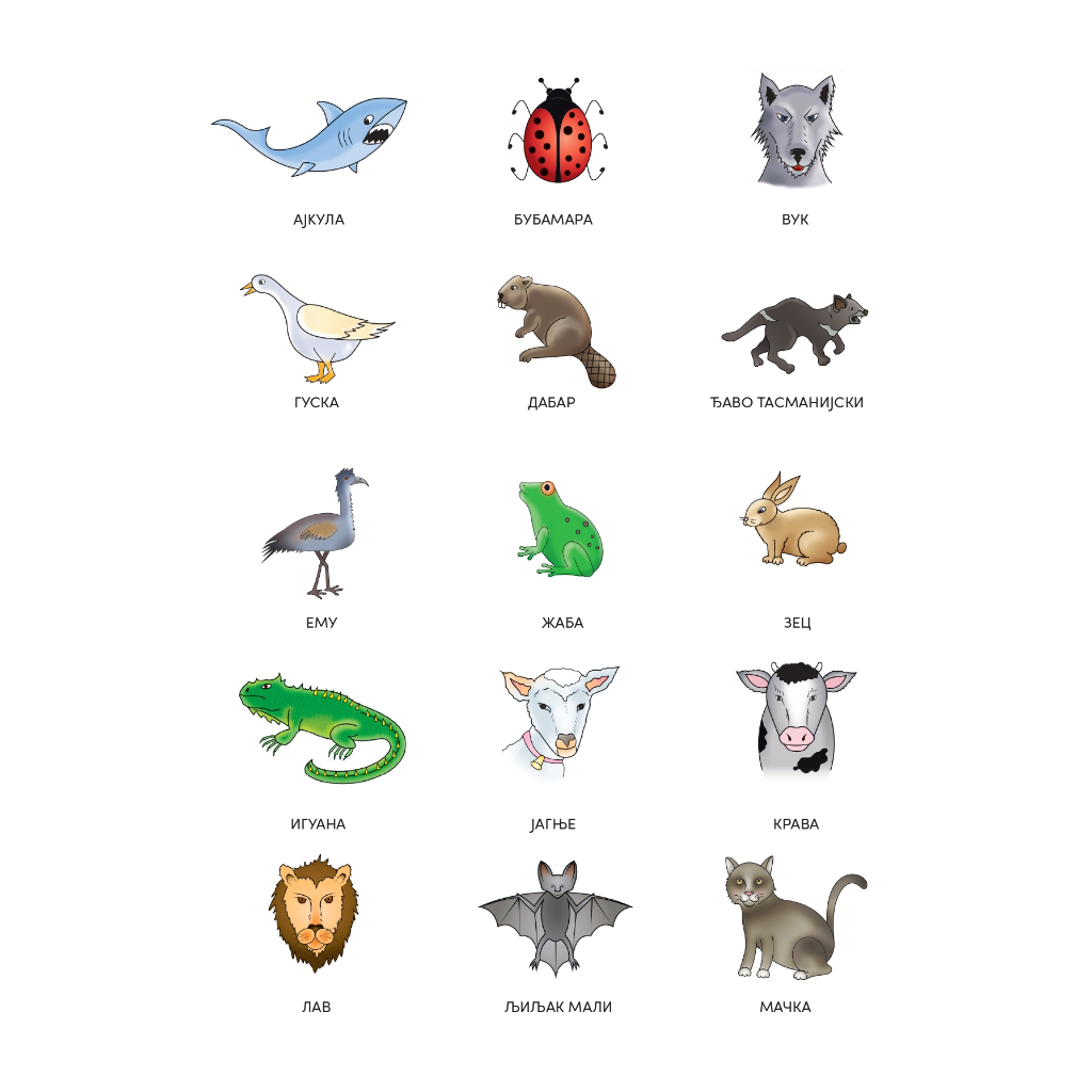 Azbuka - Media Planet doo